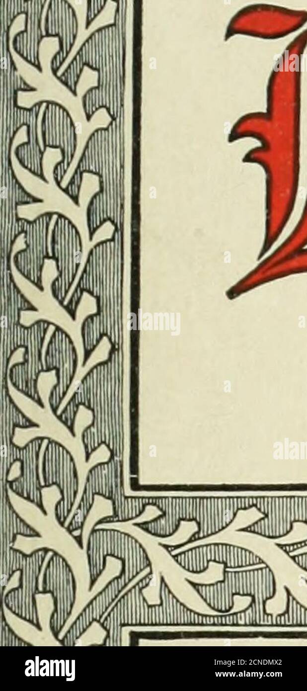 . Bird-lore Stock Photo - Alamy