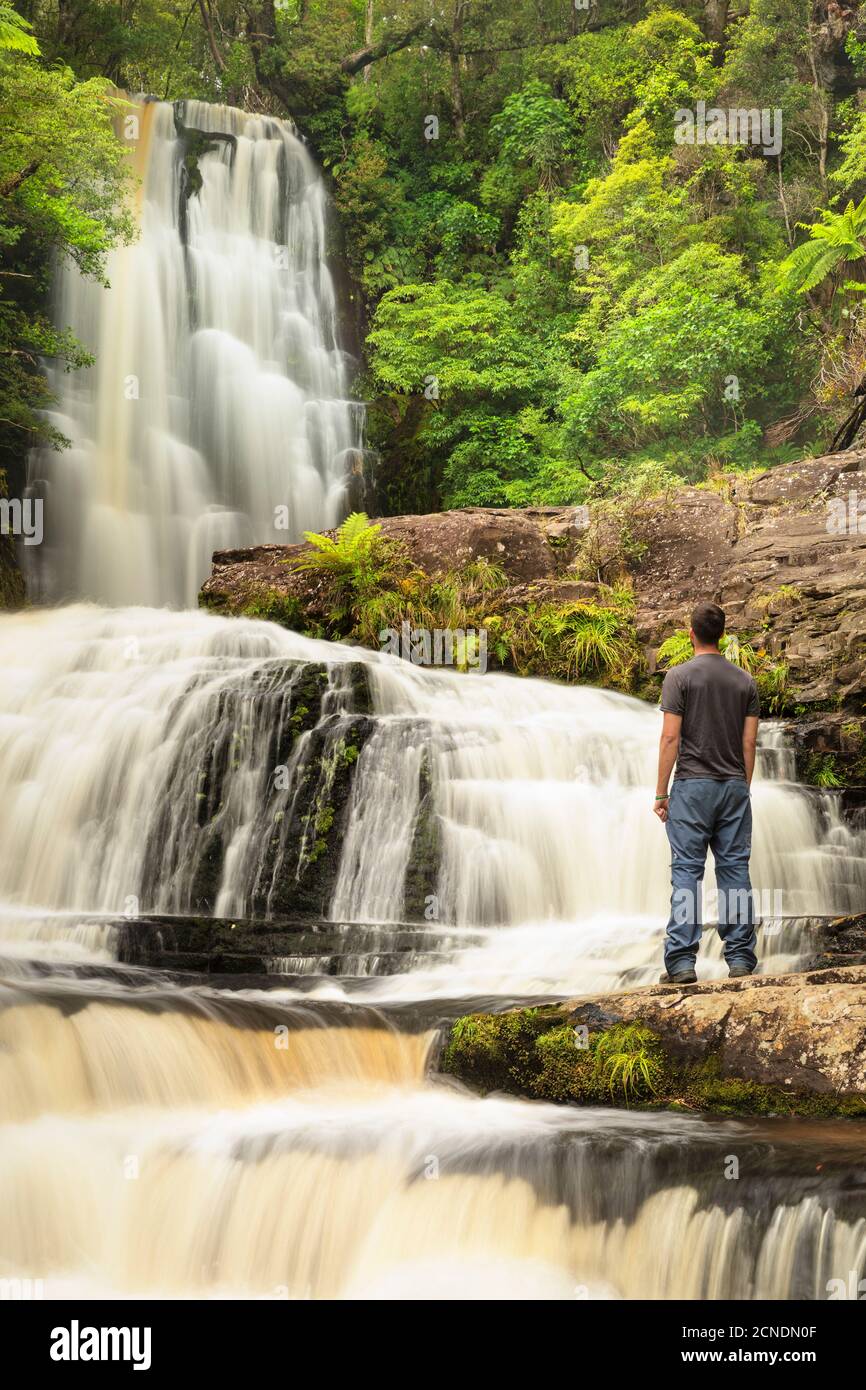 McLean Falls, McLean Falls Walk, The Catlins, Otago, South Island, New ...