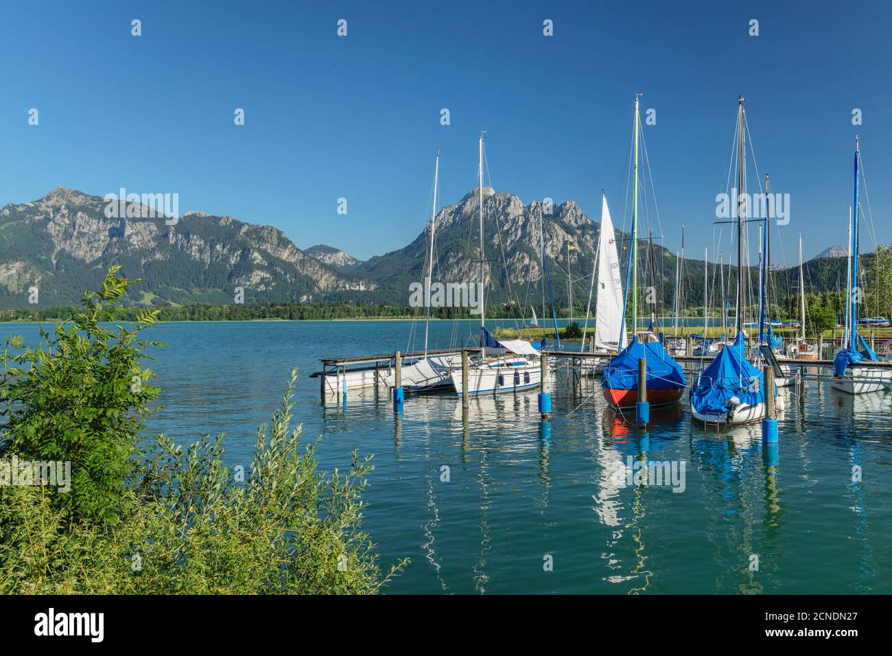 Forggensee Lake, Tannheimer Alps, Fussen, Allgau, Schwaben, Bavaria ...