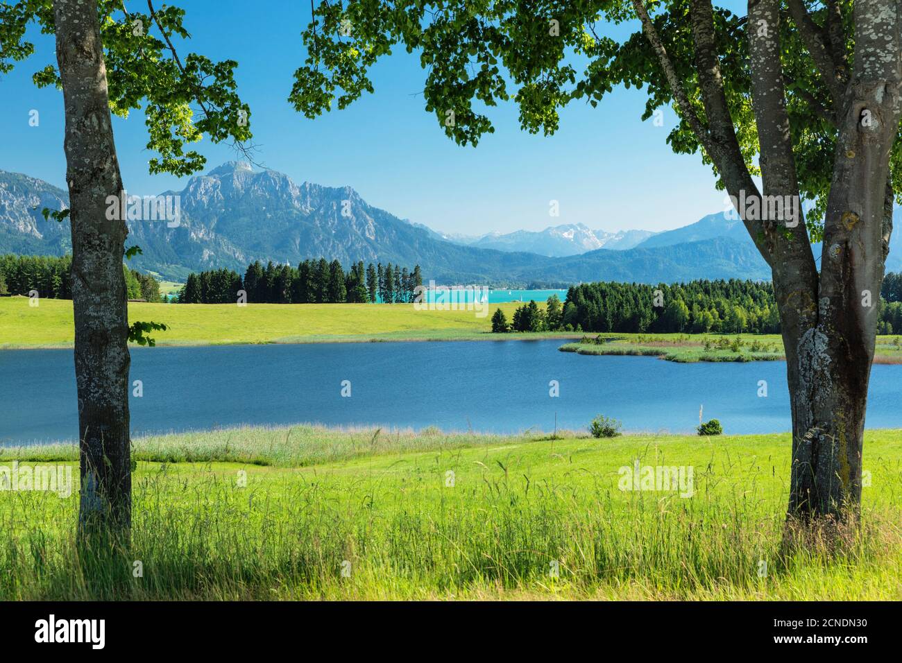 Forggensee lake hi-res stock photography and images - Alamy