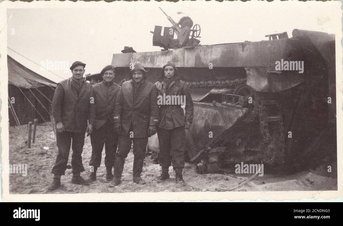 Alligator tank hi-res stock photography and images - Alamy