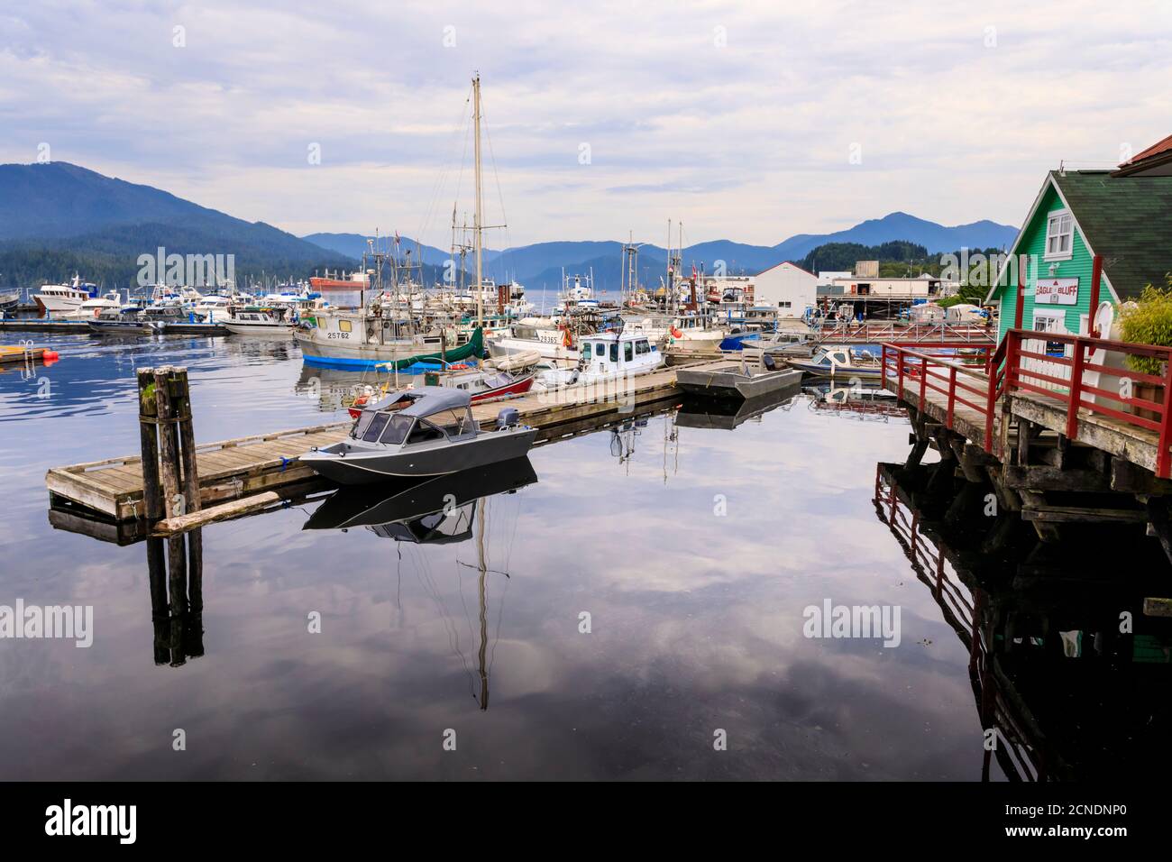 Cow harbor hi-res stock photography and images - Alamy