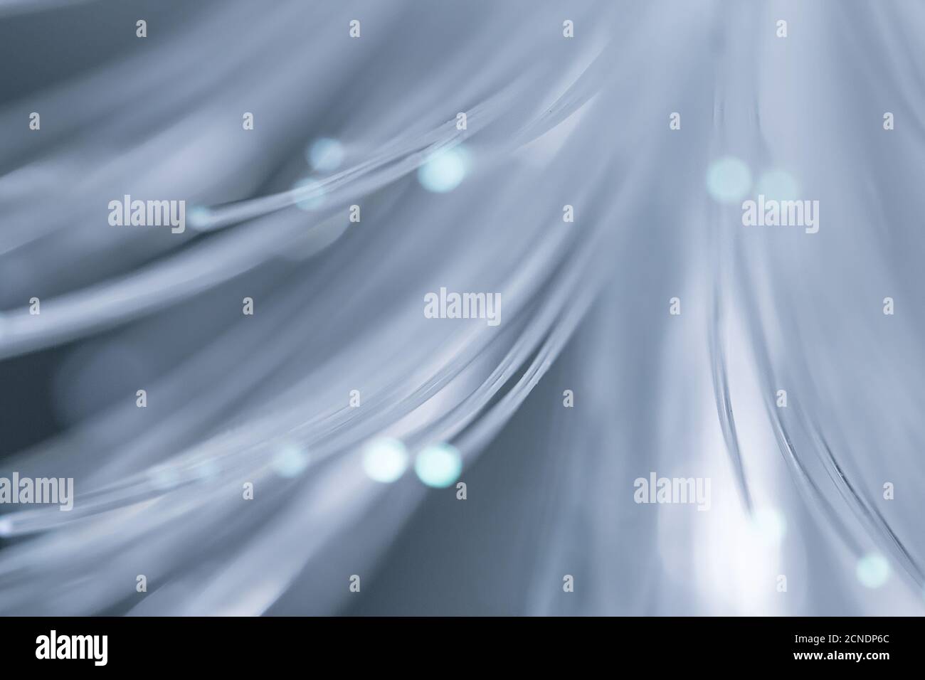 Soft gray shapes hi-res stock photography and images - Alamy