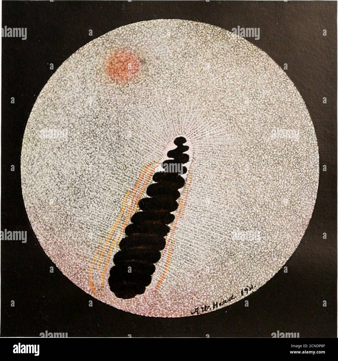 Eyeground hi-res stock photography and images - Alamy