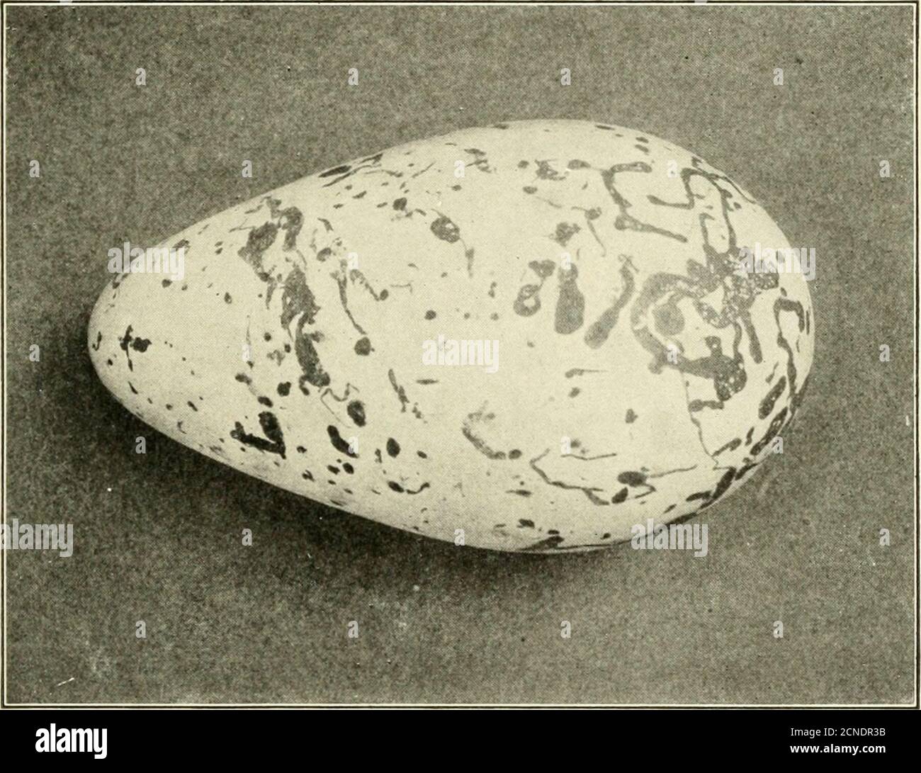 Timable hi-res stock photography and images - Alamy