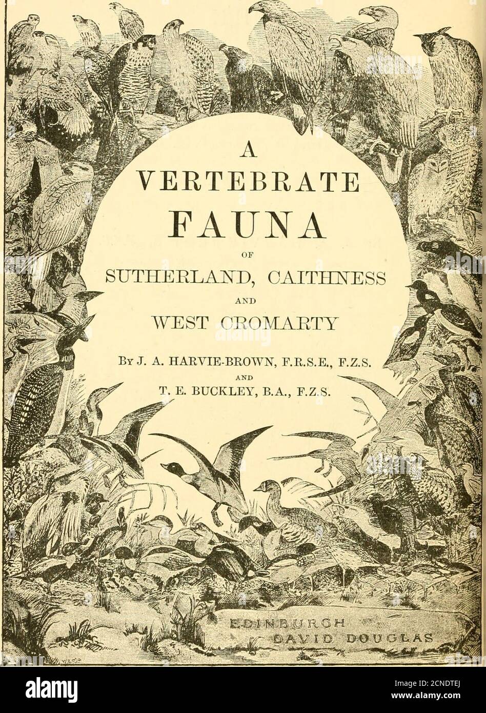 Migration map for birds hi-res stock photography and images - Alamy