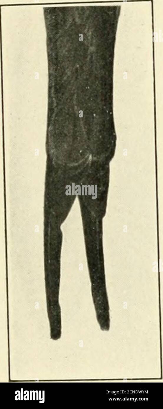 Tail feathers for a rudder hi-res stock photography and images - Alamy