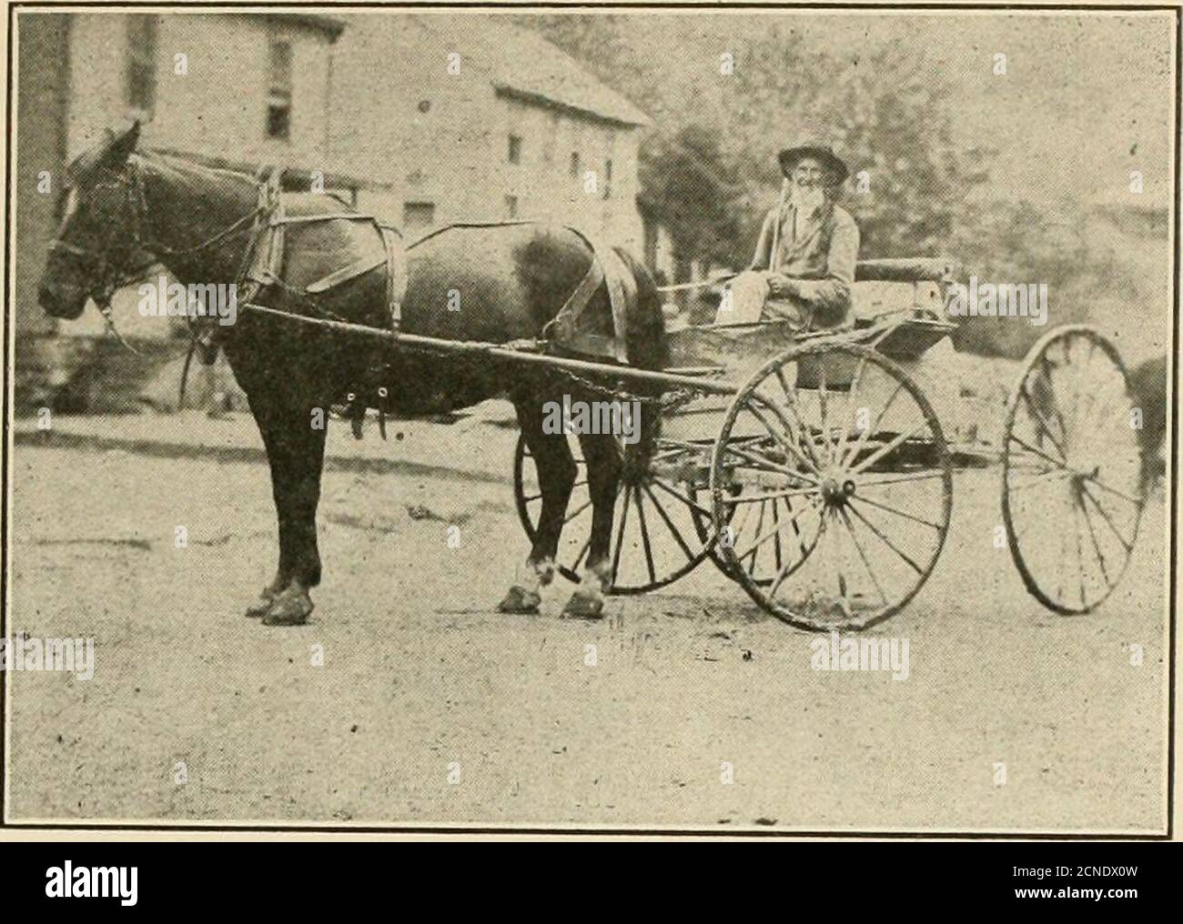 Backwoodsmen hi-res stock photography and images - Alamy