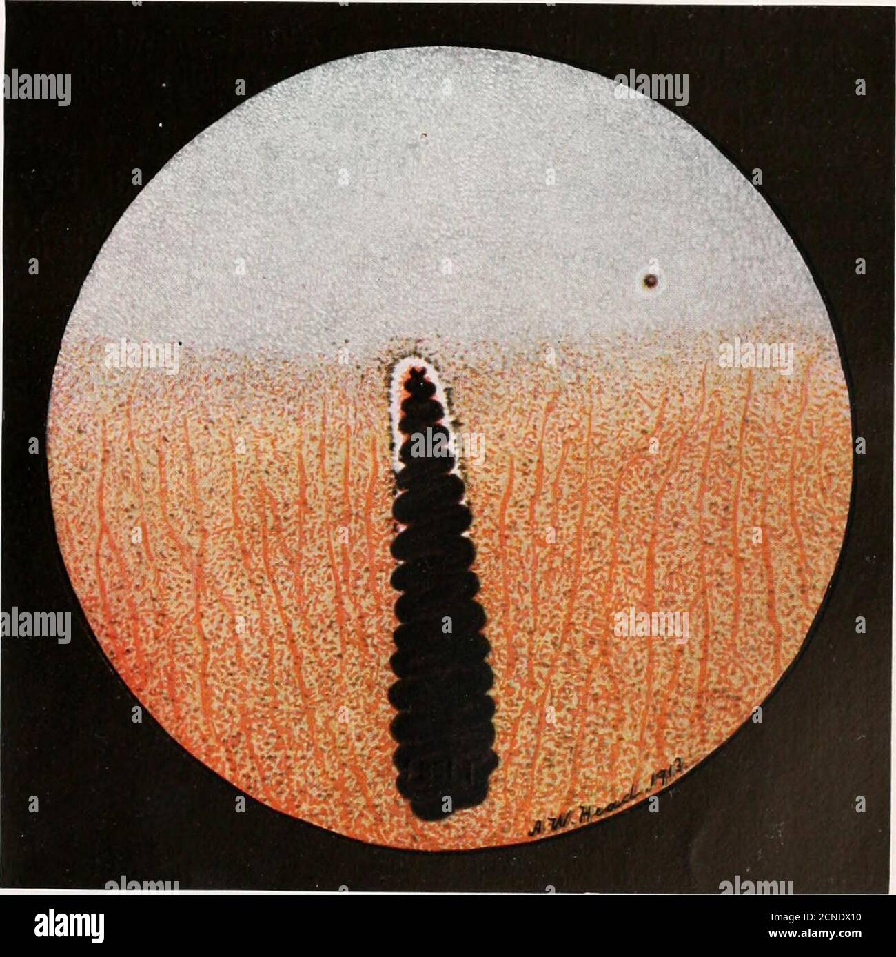 Eyeground hi-res stock photography and images - Alamy