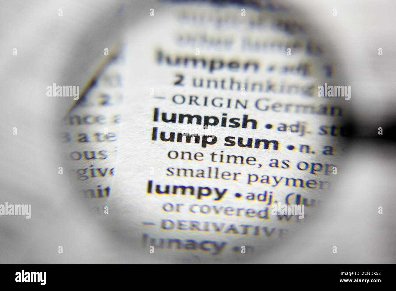 The word or phrase Lump sum in a dictionary Stock Photo - Alamy