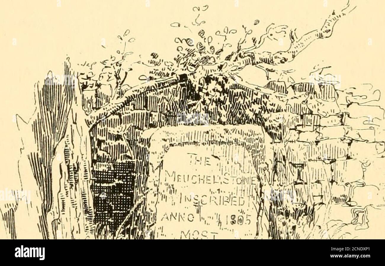 Dissected mice hi-res stock photography and images - Alamy