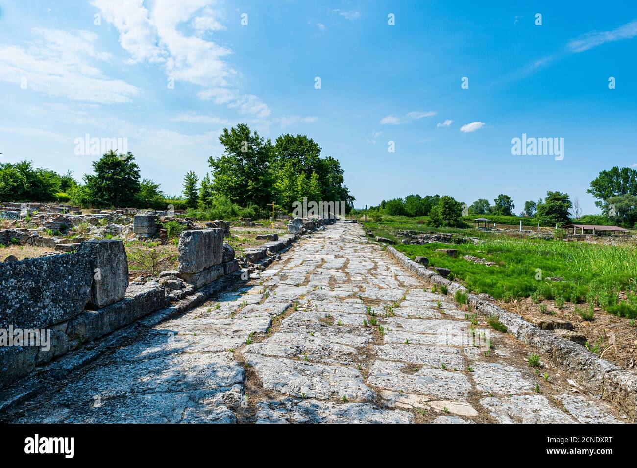 Archaeological Park of Dion, Mount Olympus, Greece, europe Stock Photo ...