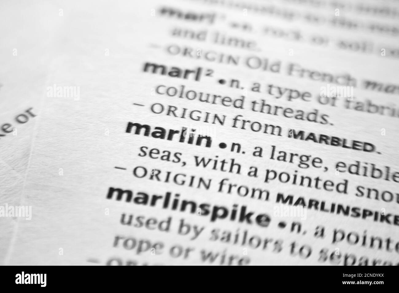 White marlin Black and White Stock Photos & Images - Alamy