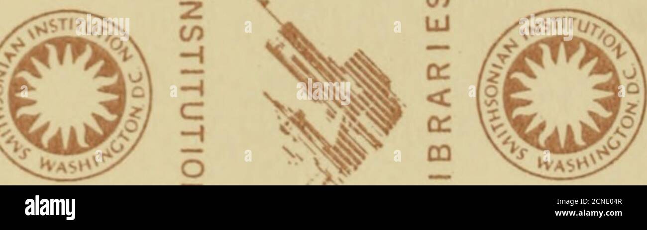 . Bird lore . en Stock Photo - Alamy