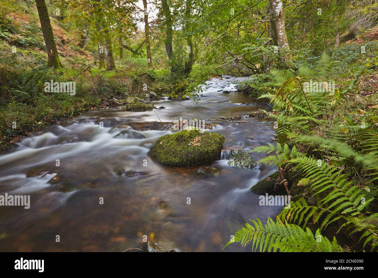 Horner Wood and Horner Water, at Pool Bridge, near Porlock, in Exmoor ...