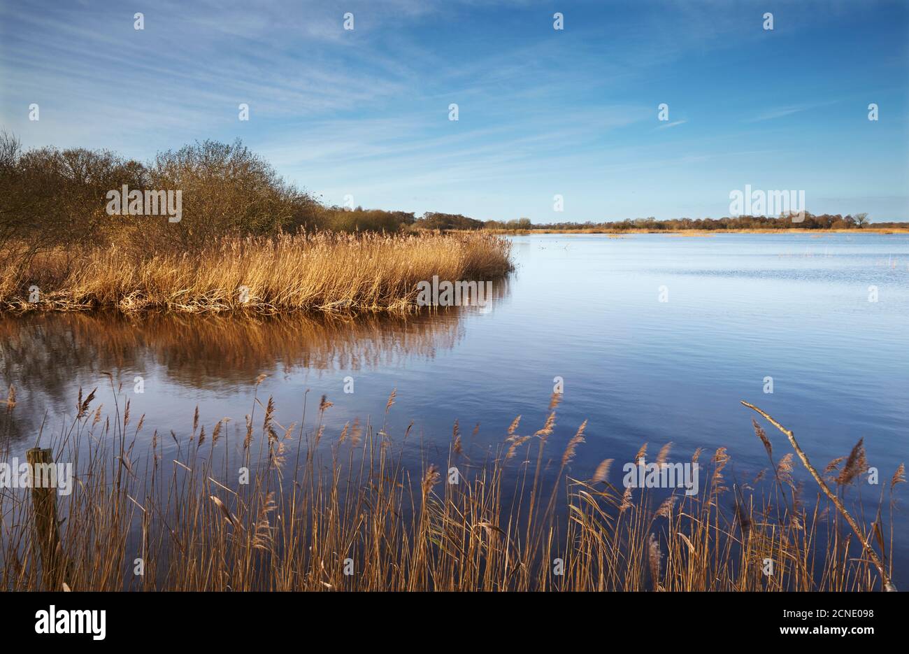 A wintery view of marshland, in Shapwick Heath Nature Reserve, one of ...