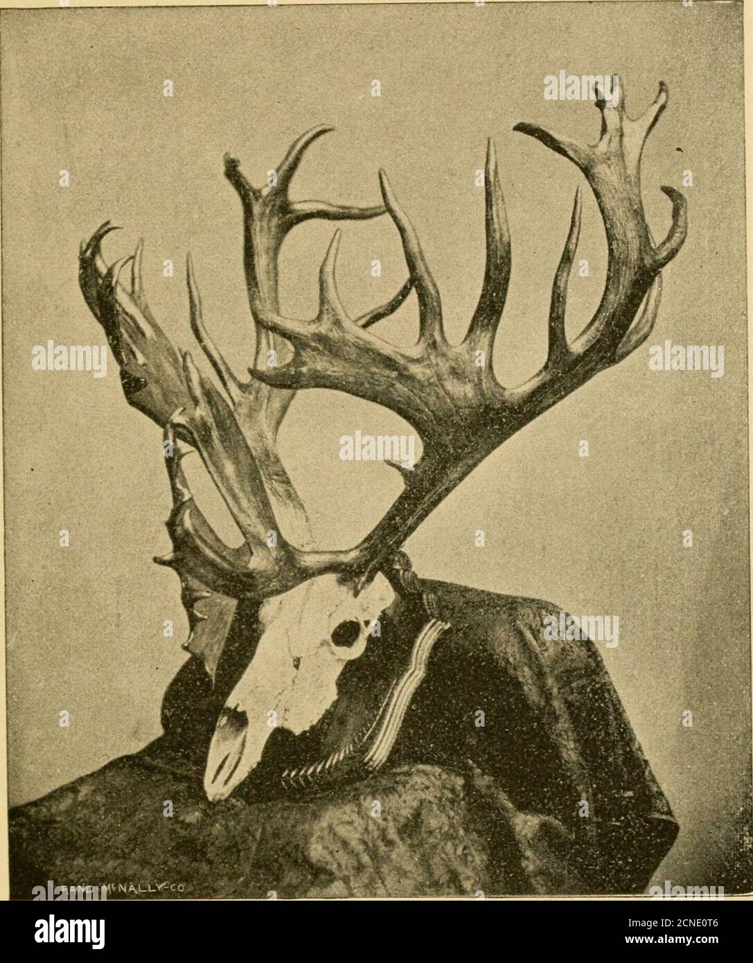 Ill ow hi-res stock photography and images - Alamy