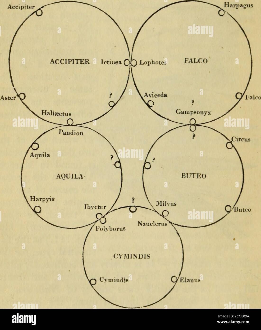 . On the natural history and classification of birds . 318 ON THE ...
