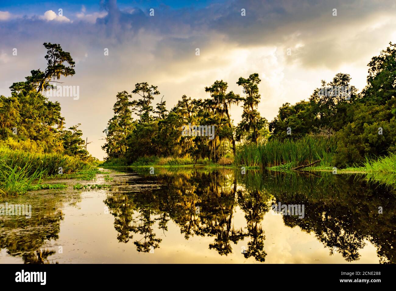 Louisiana bayou people hi-res stock photography and images - Alamy