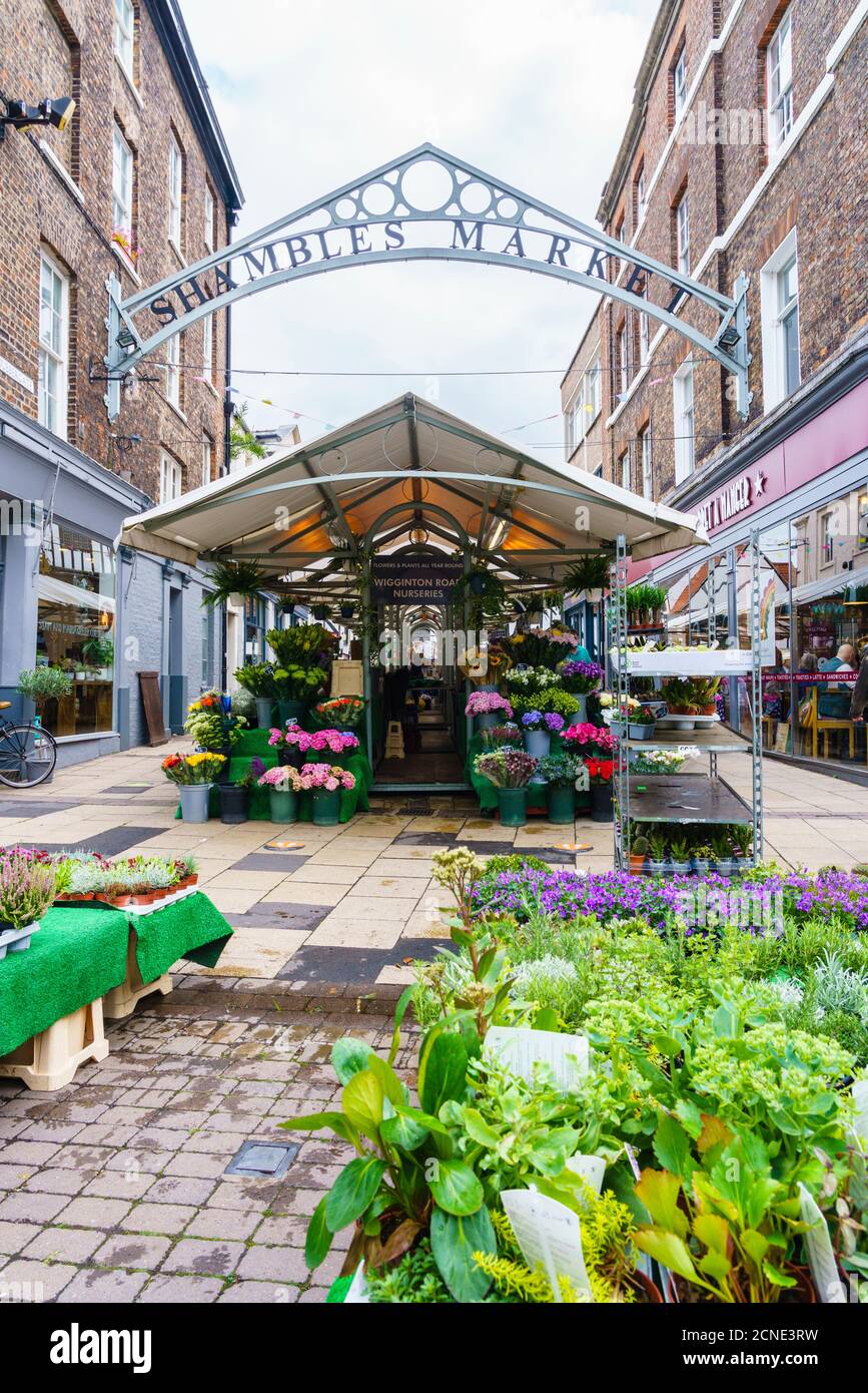 York yorkshire city market hi-res stock photography and images - Alamy