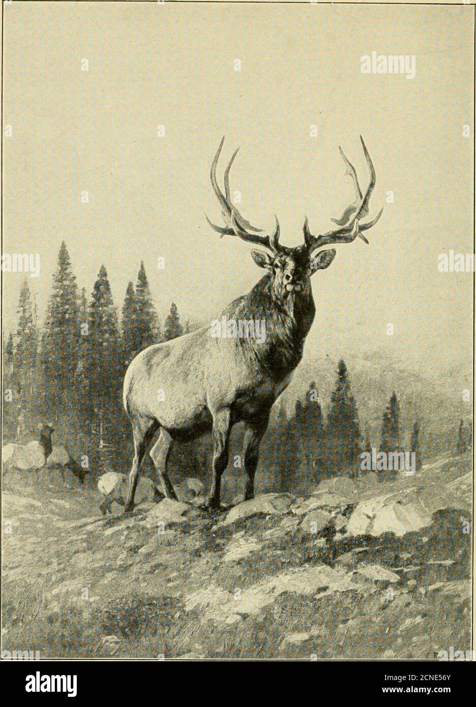 Charles scribner sons hi-res stock photography and images - Alamy