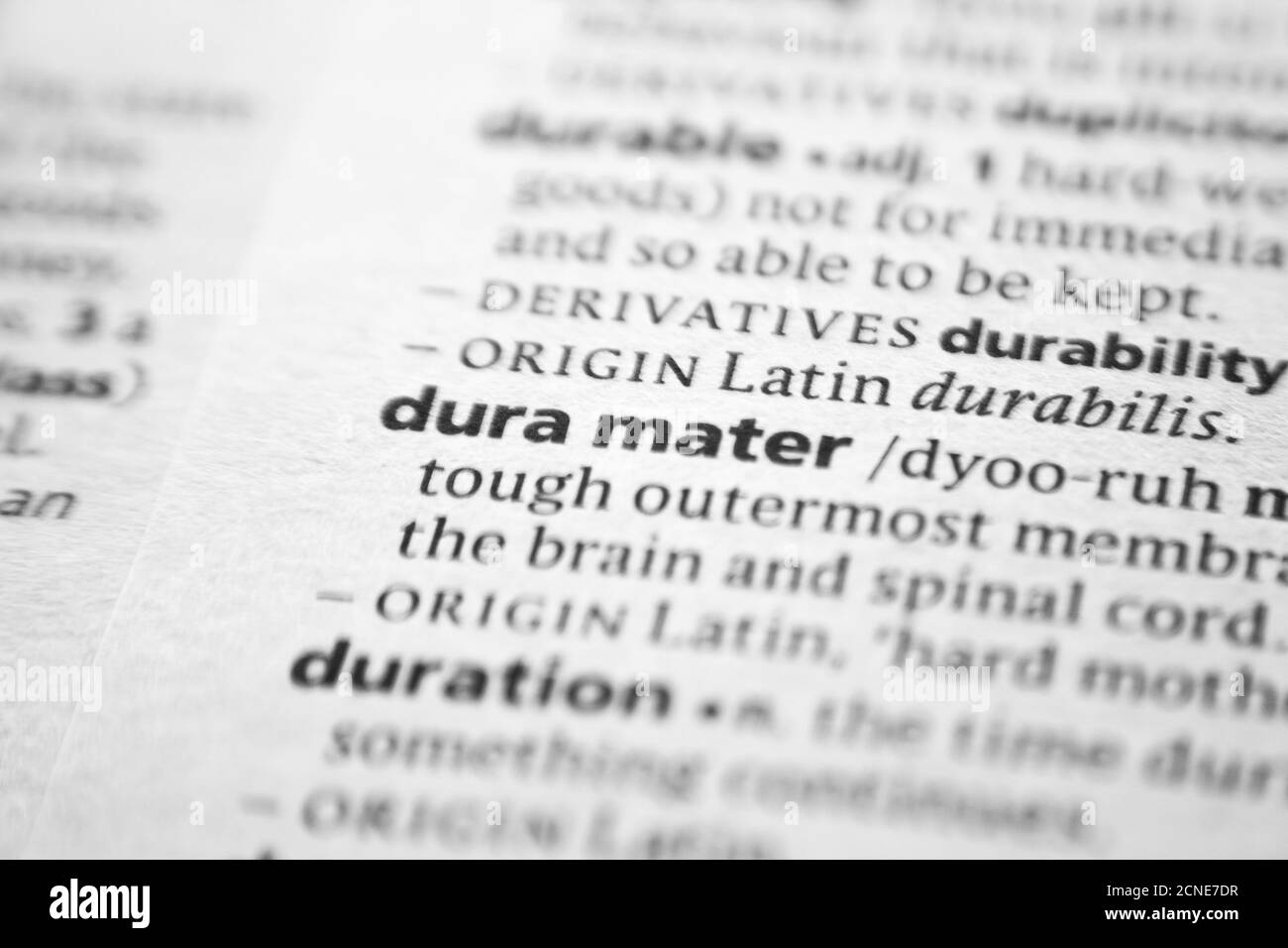 Dura mater hi-res stock photography and images - Alamy