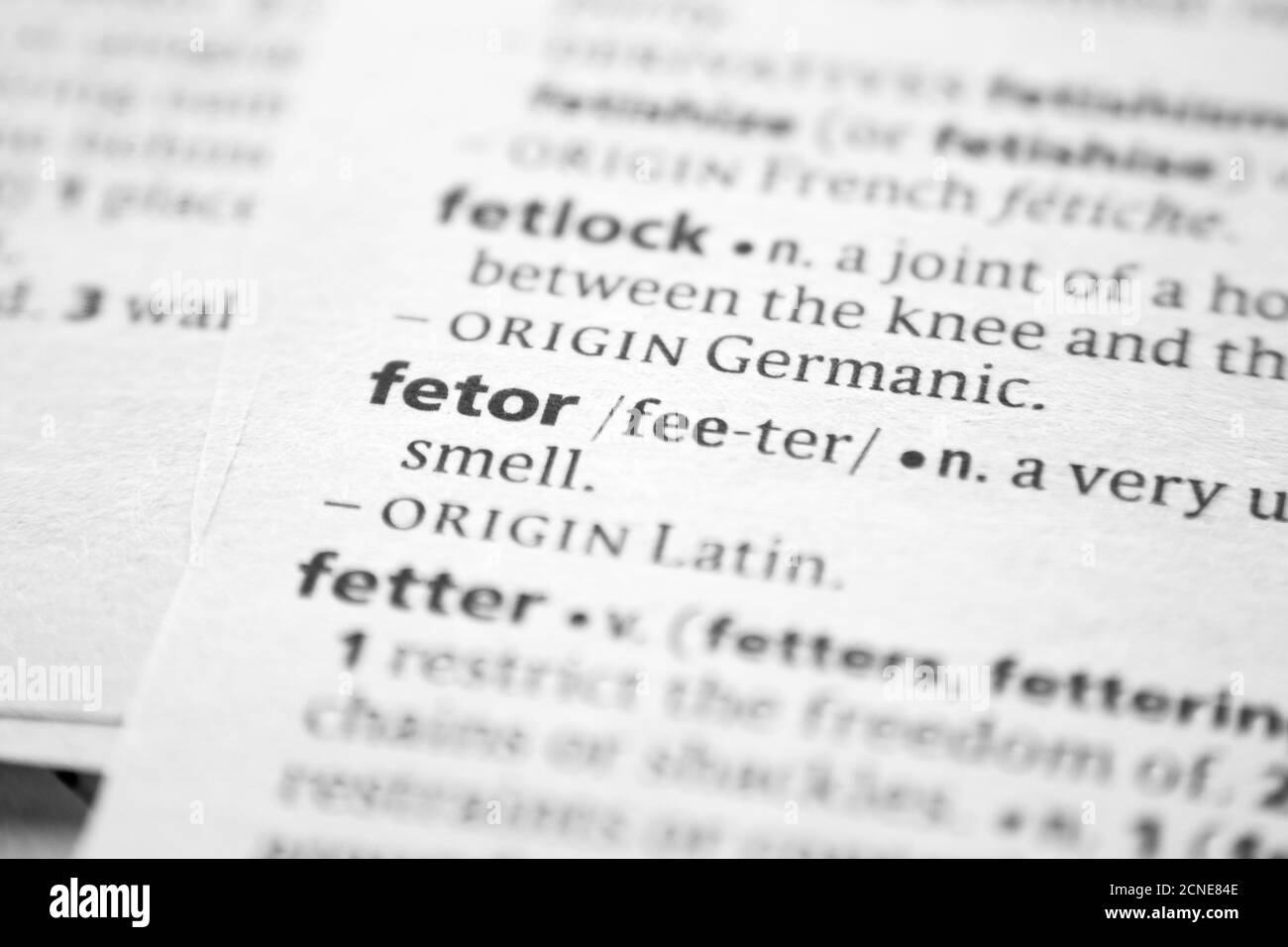 Fetor hi-res stock photography and images - Alamy