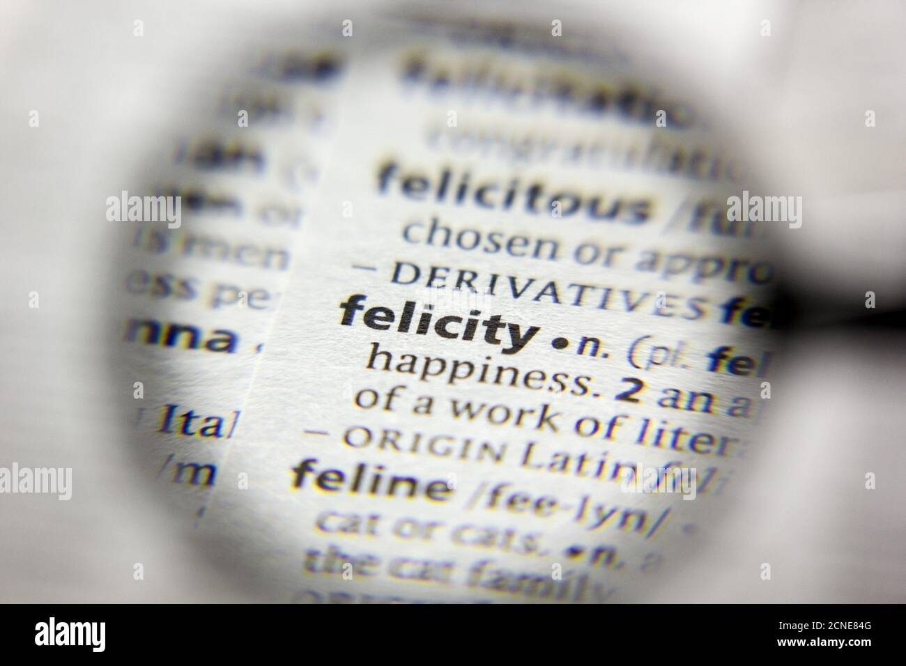 The word or phrase Felicity in a dictionary Stock Photo - Alamy