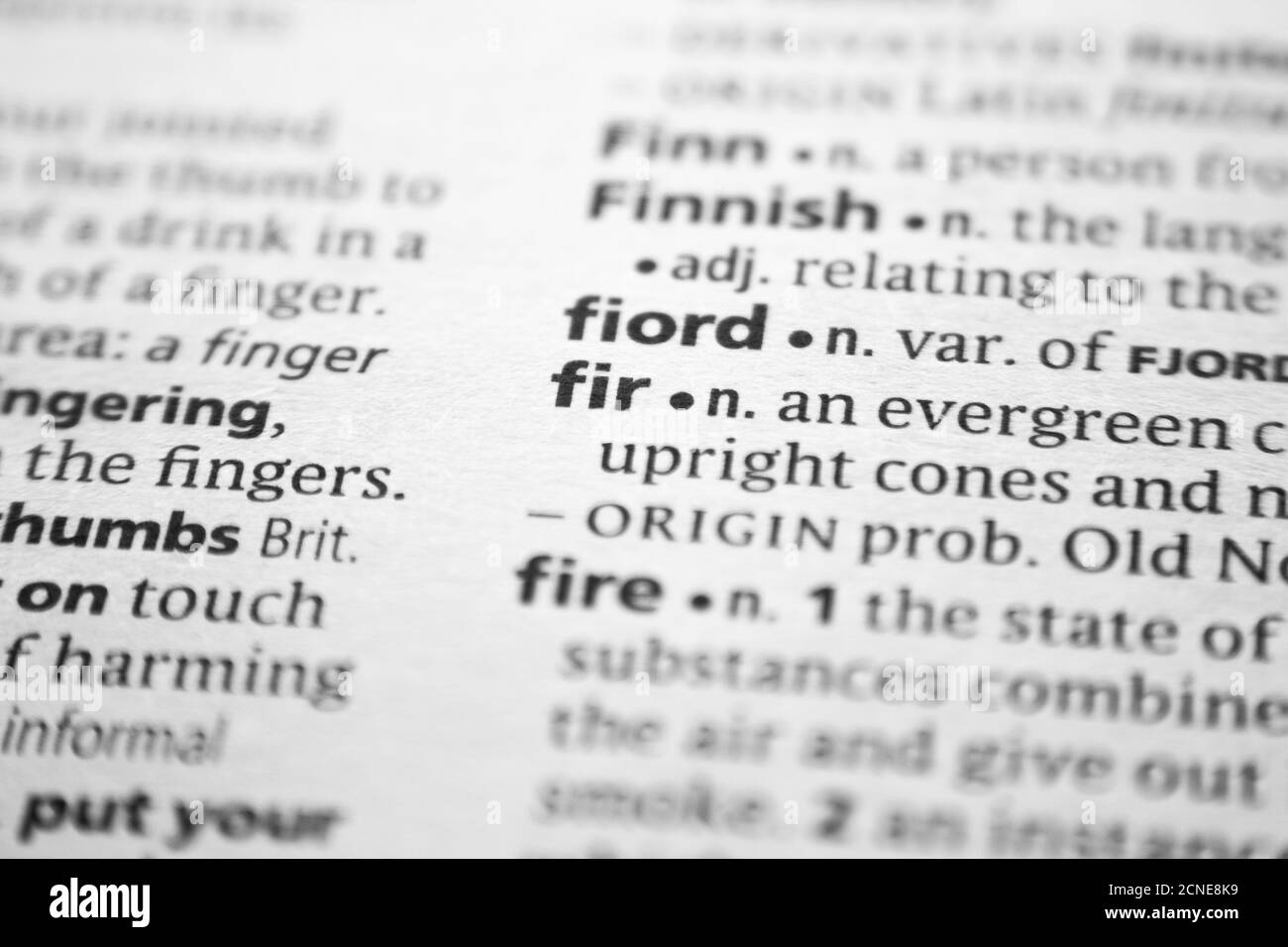 Glass fir Black and White Stock Photos & Images - Alamy