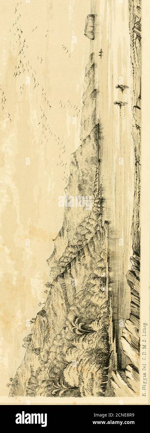 Map of mauritius dodo hi-res stock photography and images - Alamy