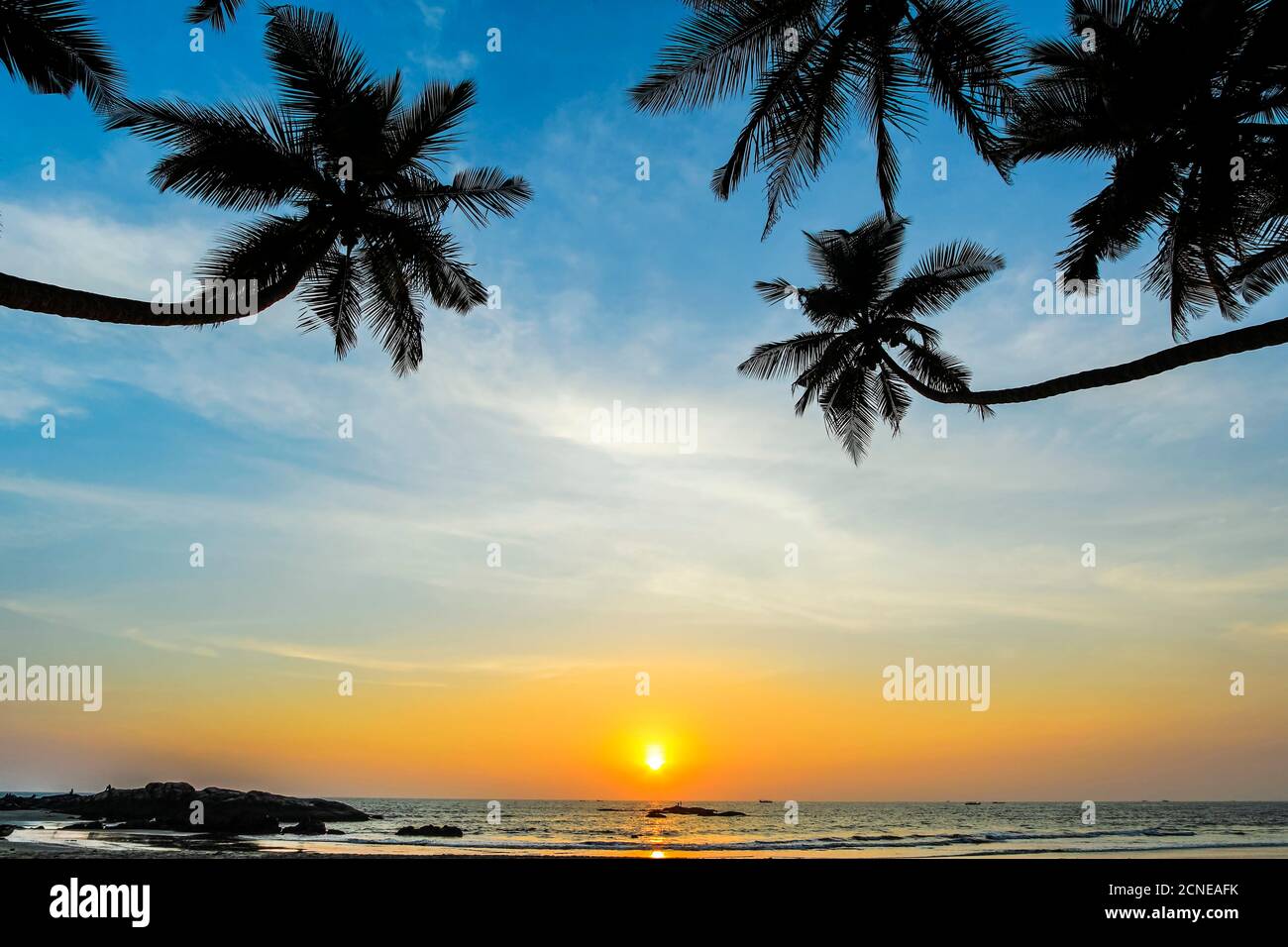Leaning palm trees hi-res stock photography and images - Alamy
