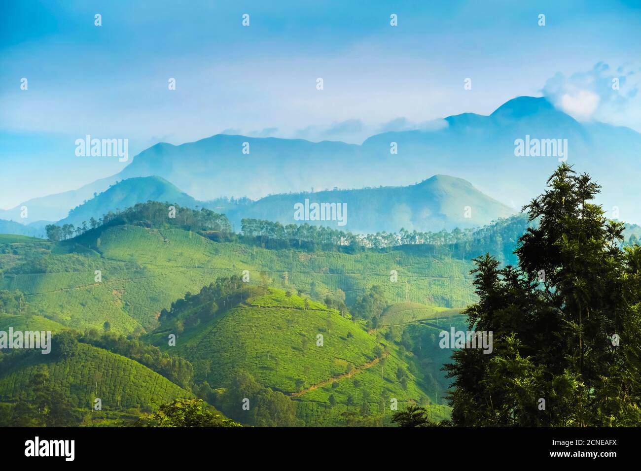 Western Ghats Kerala