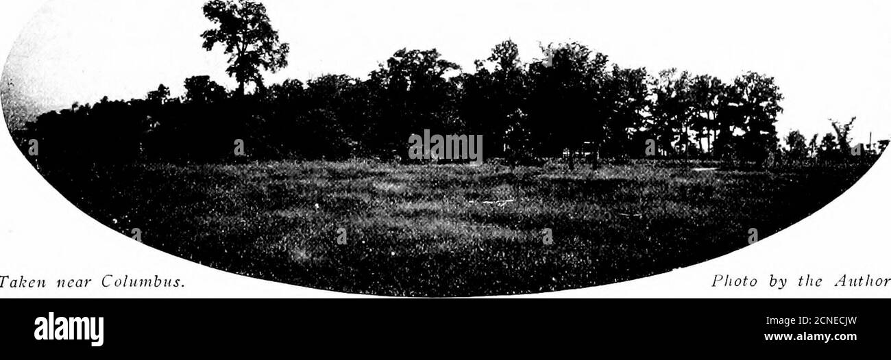 Av 17 Black and White Stock Photos & Images - Alamy