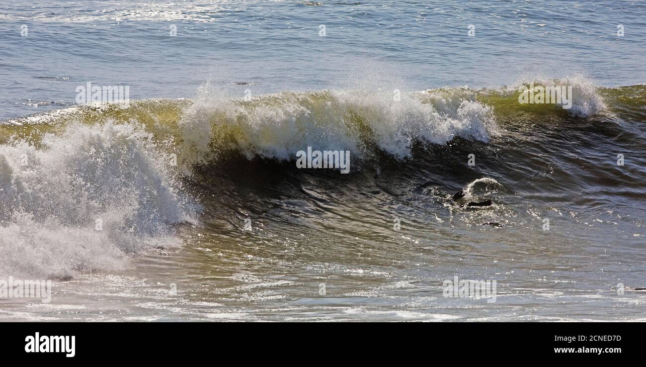 Waves in Atlantic Ocean, Beach at Cape Cross in Namibia Stock Photo - Alamy