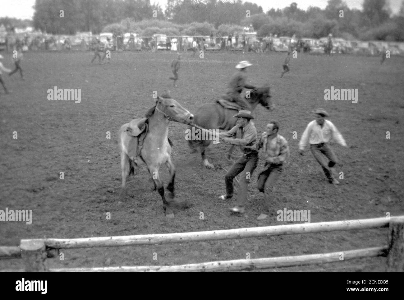 Vintage Rodeo High Resolution Stock Photography and Images - Alamy
