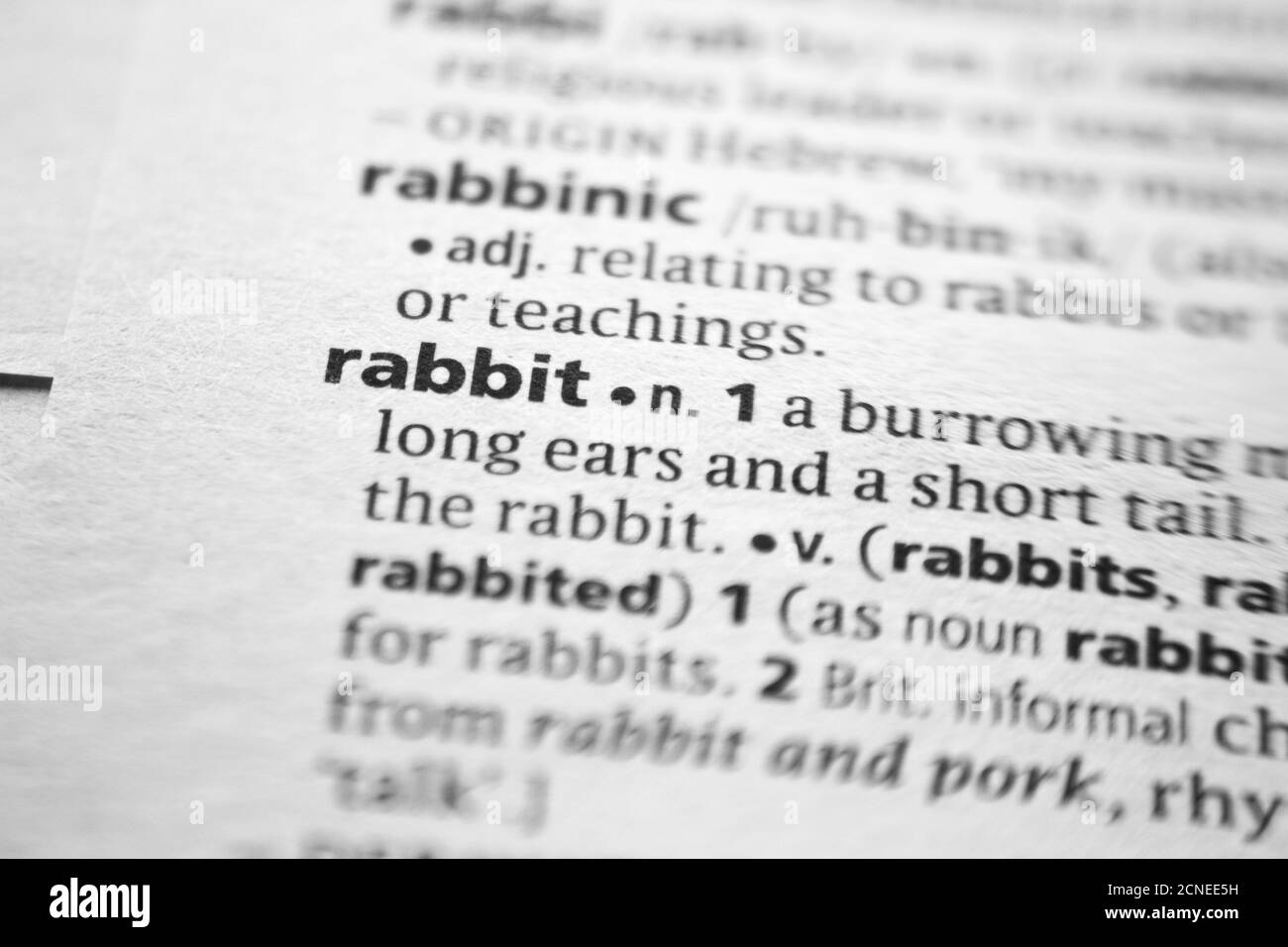 Rabbit word Black and White Stock Photos & Images - Alamy