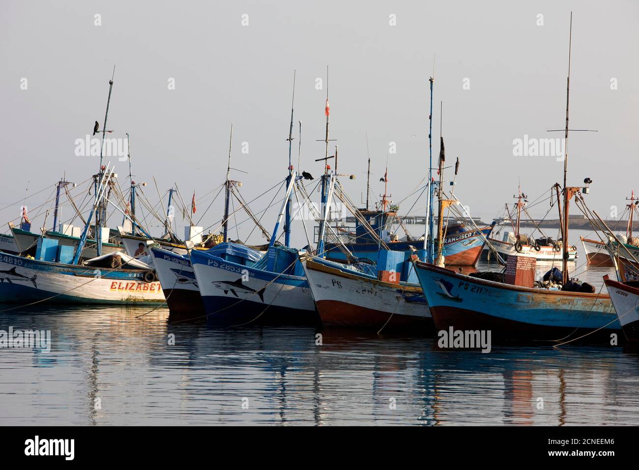 Fishing Boats in Harbour, Paracas in Peru Stock Photo - Alamy