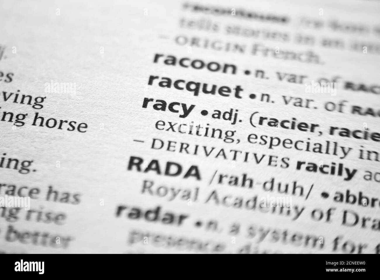 Word or phrase Racy in a dictionary Stock Photo - Alamy