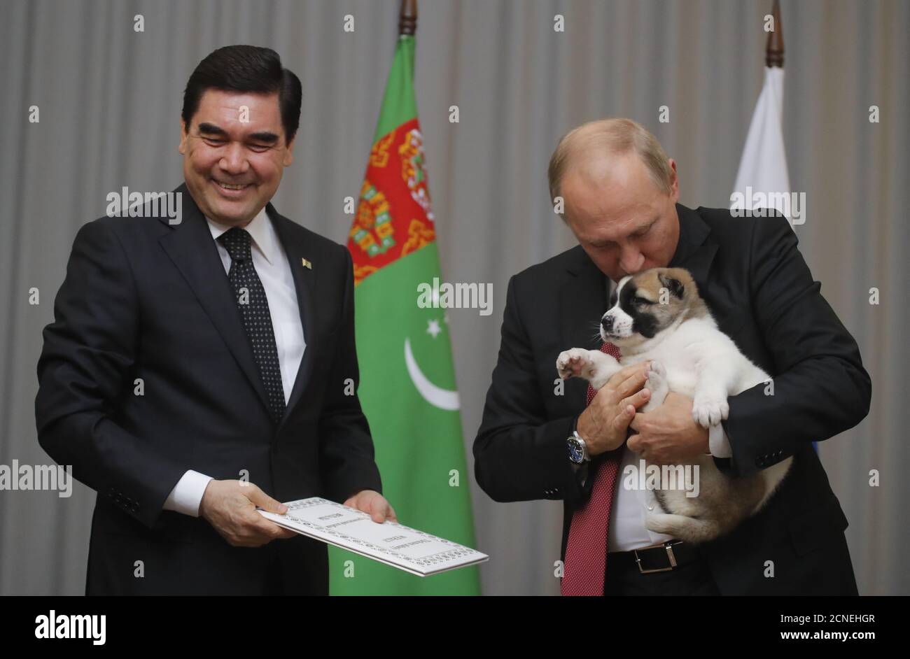 Turkmen alabai hi-res stock photography and images - Alamy