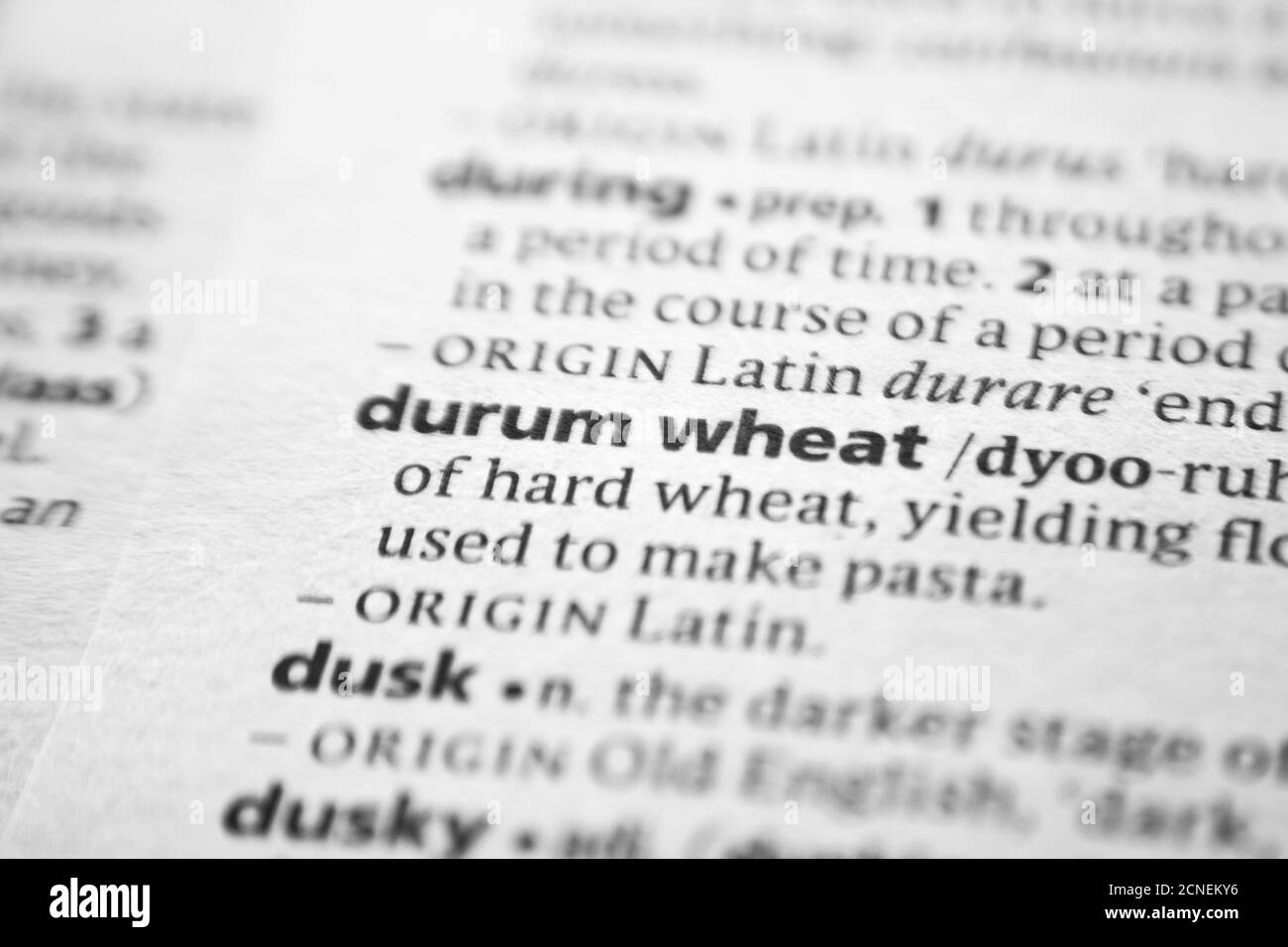 Durum wheat Black and White Stock Photos & Images - Alamy