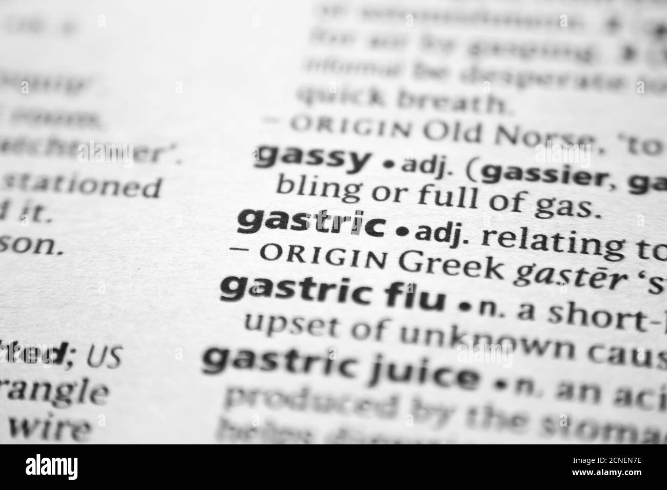 Word or phrase Gastric in a dictionary Stock Photo - Alamy