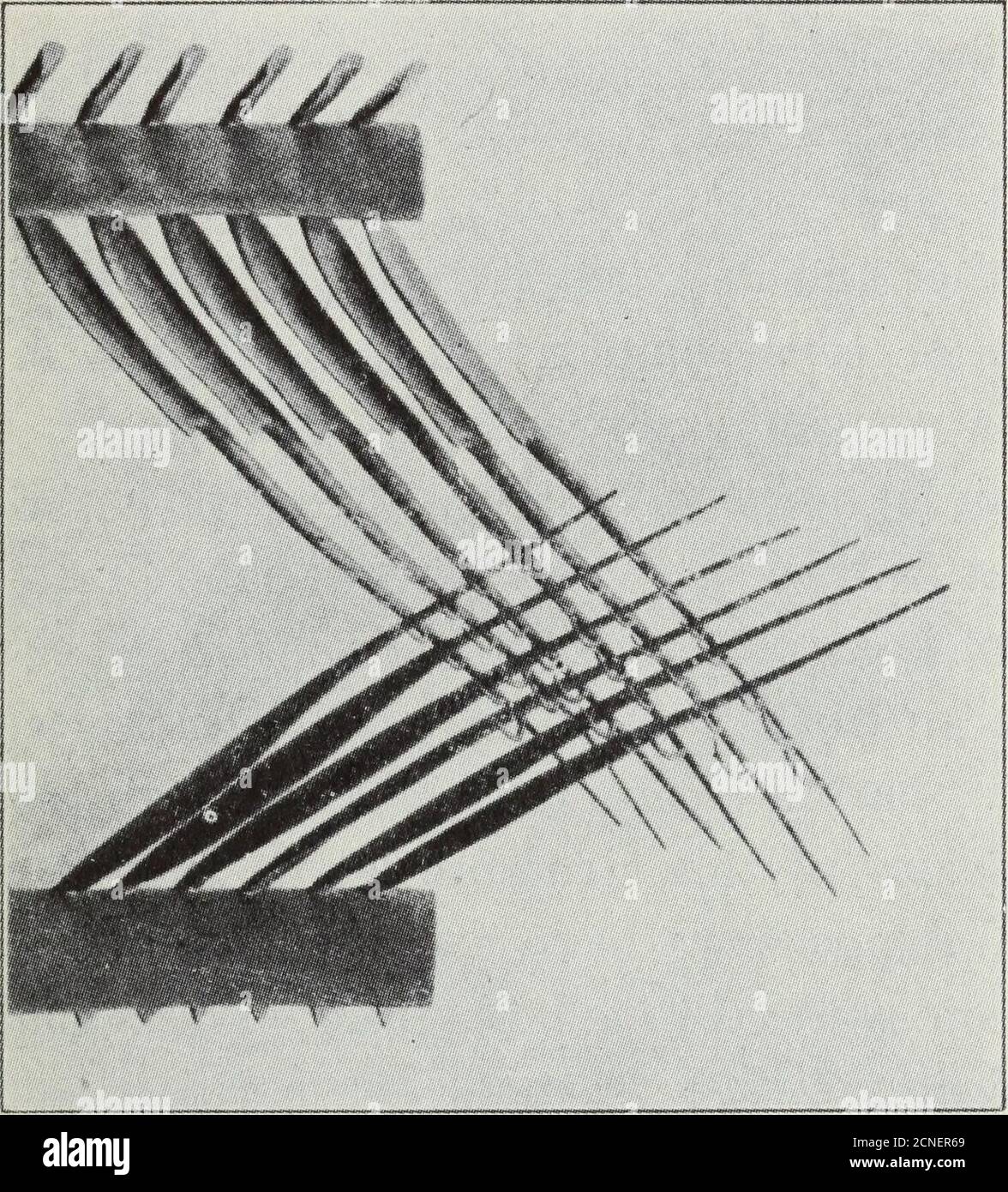 Barbicels hi-res stock photography and images - Alamy
