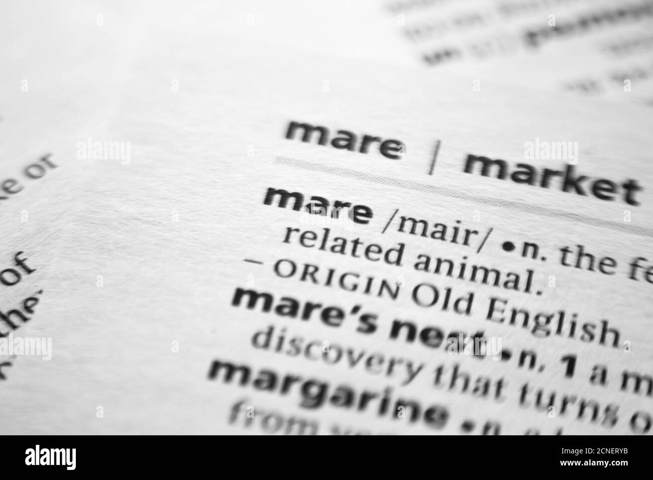 Magnifying glass on dictionary page Black and White Stock Photos ...