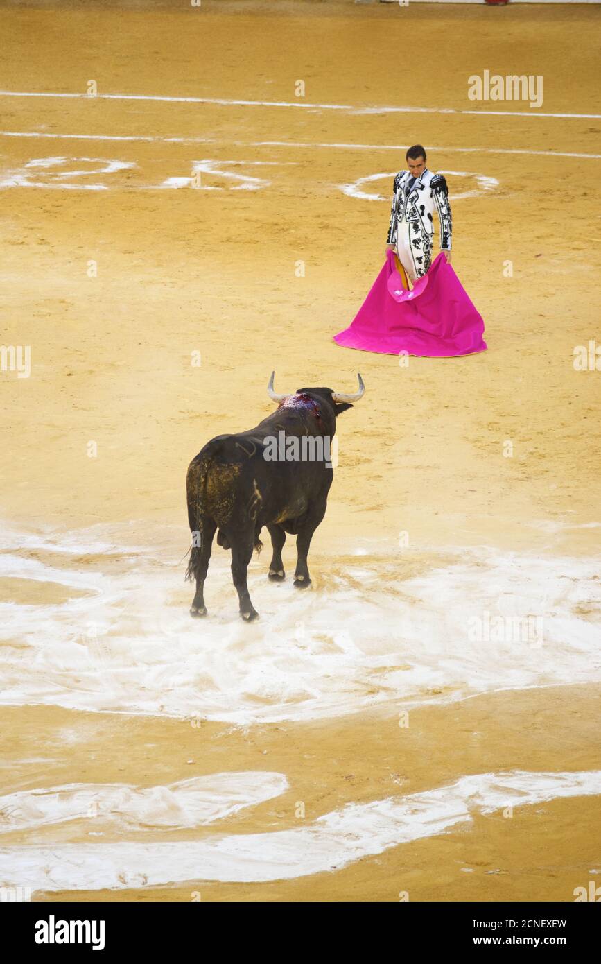 Bullfighter Rodeo Bull High Resolution Stock Photography and Images - Alamy
