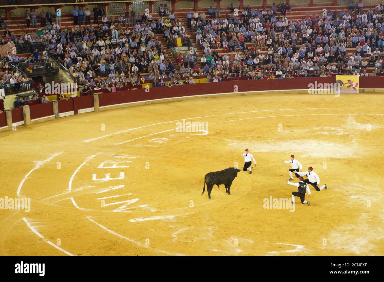 Bullfighter rodeo bull hi-res stock photography and images - Alamy