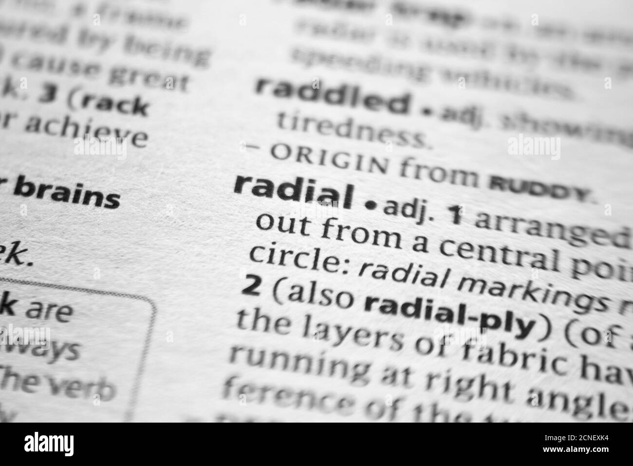Word or phrase Radial in a dictionary Stock Photo - Alamy