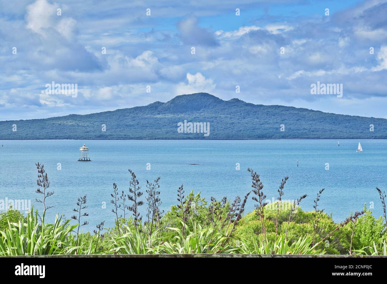 View of Rangitoto dormant volcano island Stock Photo - Alamy