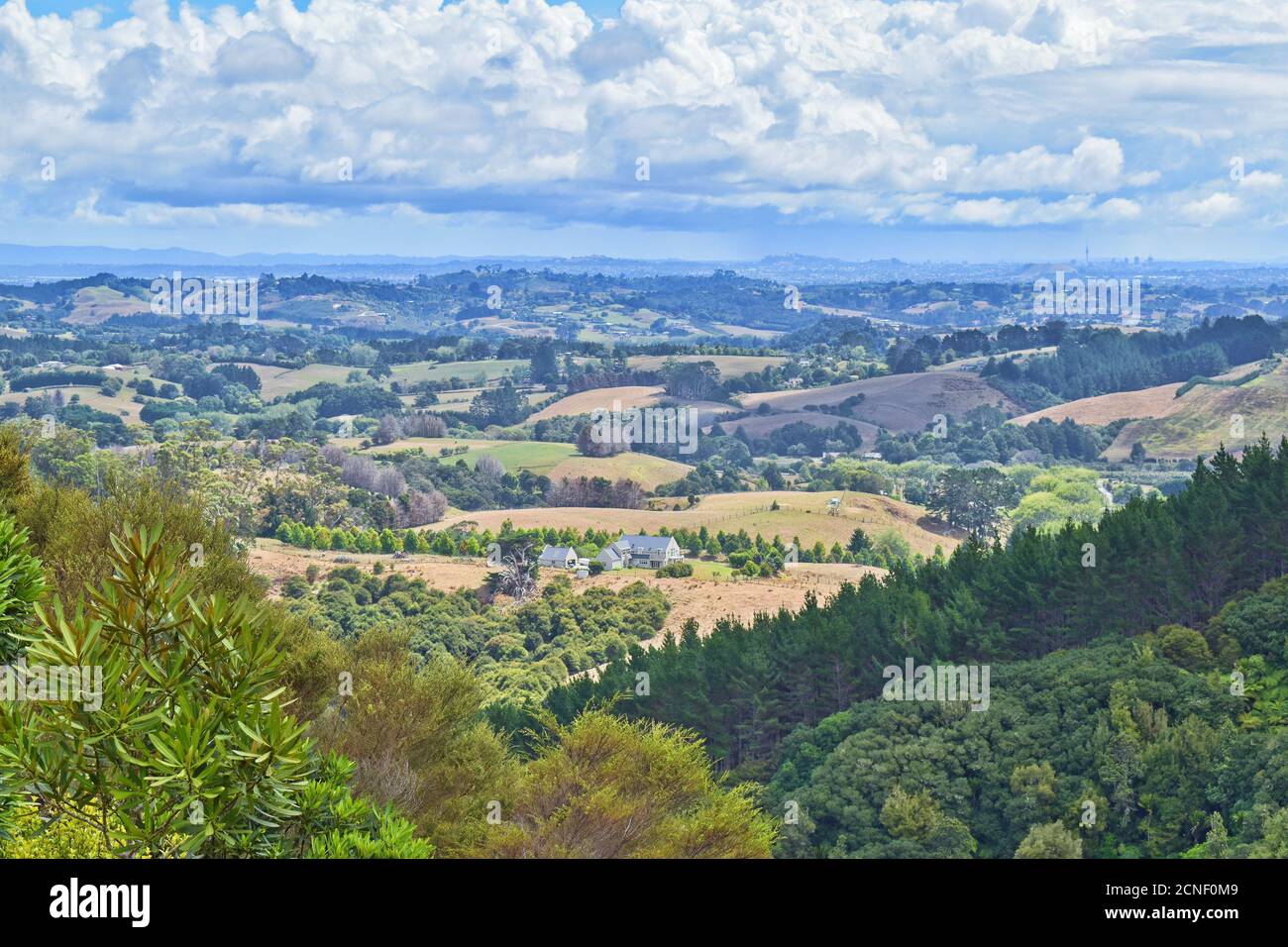 Auckland forest reserve hi-res stock photography and images - Alamy