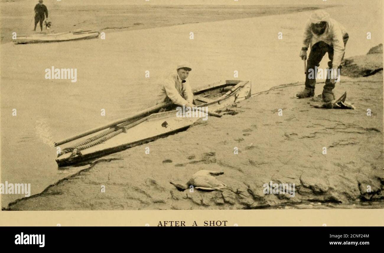 Punt gun hi-res stock photography and images - Alamy