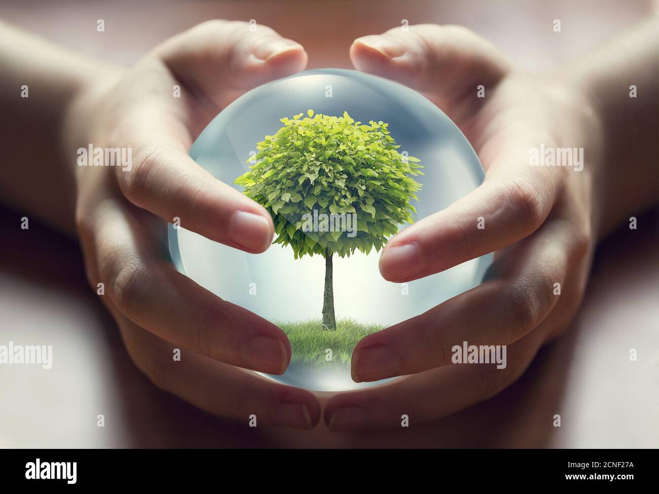 Human tree hi-res stock photography and images - Alamy